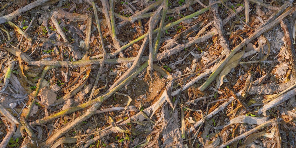 Stratum Texture Pack Minecraft Resources